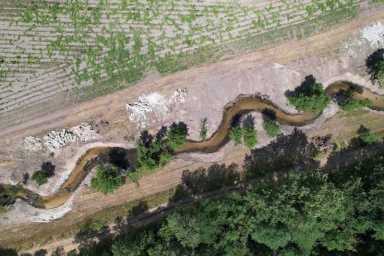 Revitalizácia rieky Rudava preukázala pozitívny efekt na ryby